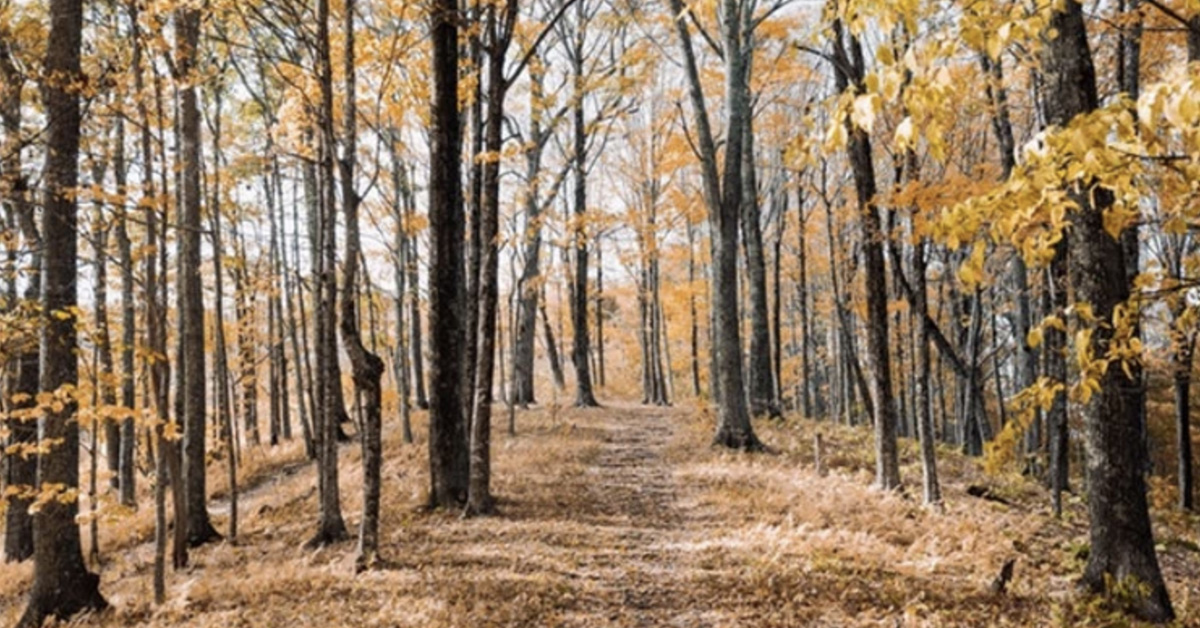 A sense of perspective is key | Kingswood | Advice every step of the way