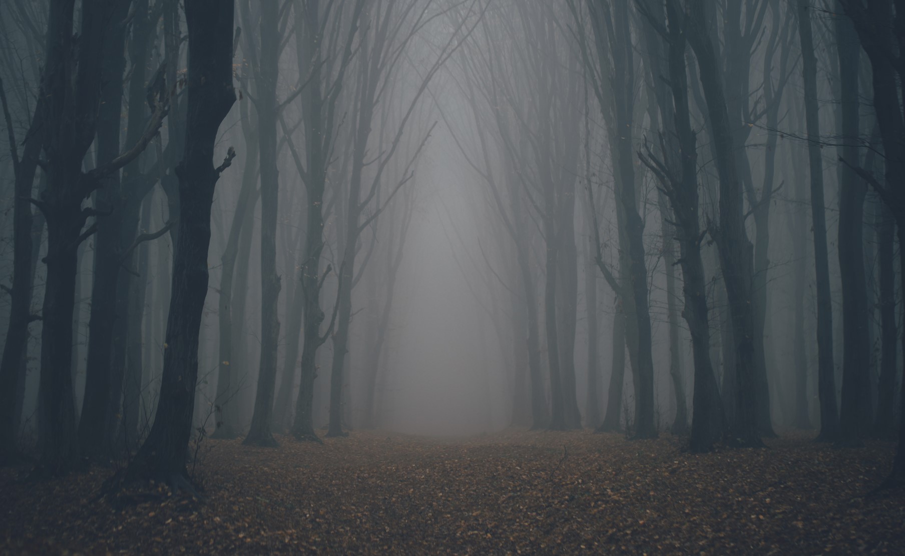 Murky Times | Kingswood | Advice every step of the way