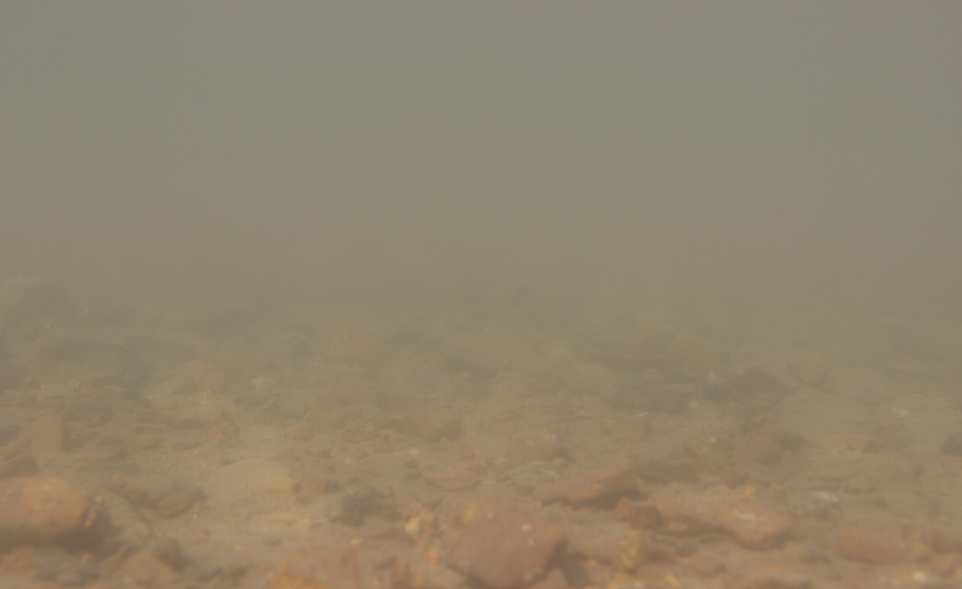 Murky Waters | Kingswood | Advice every step of the way