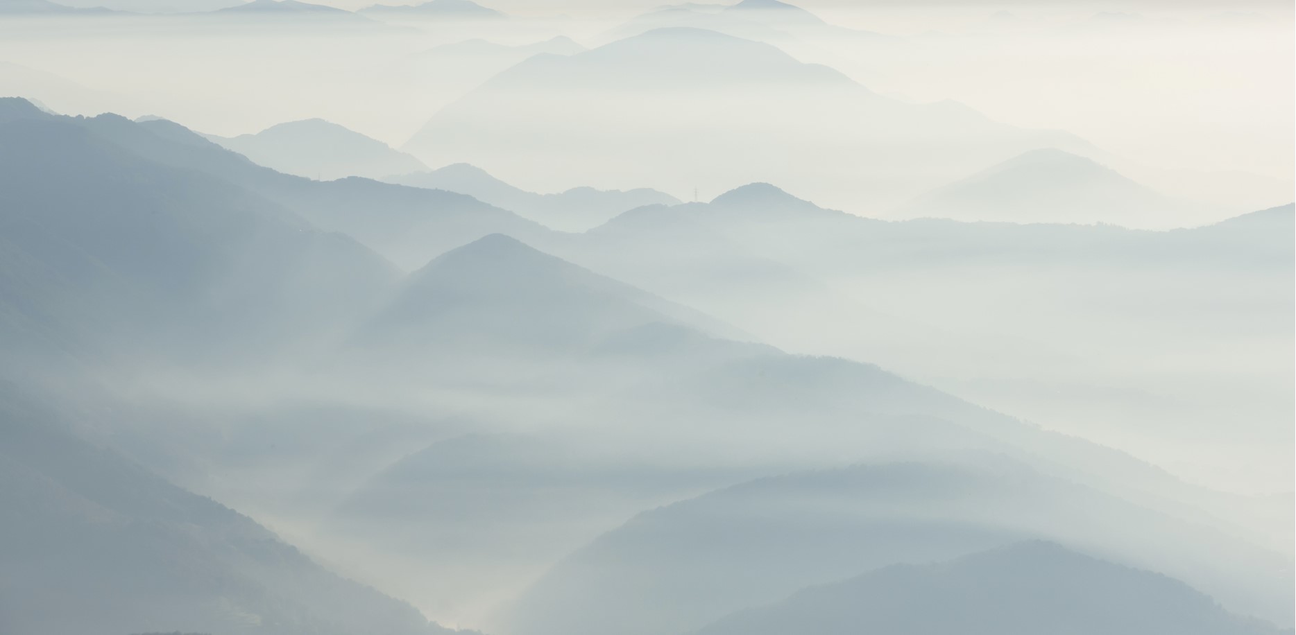 Murky at the Top | Kingswood | Advice every step of the way