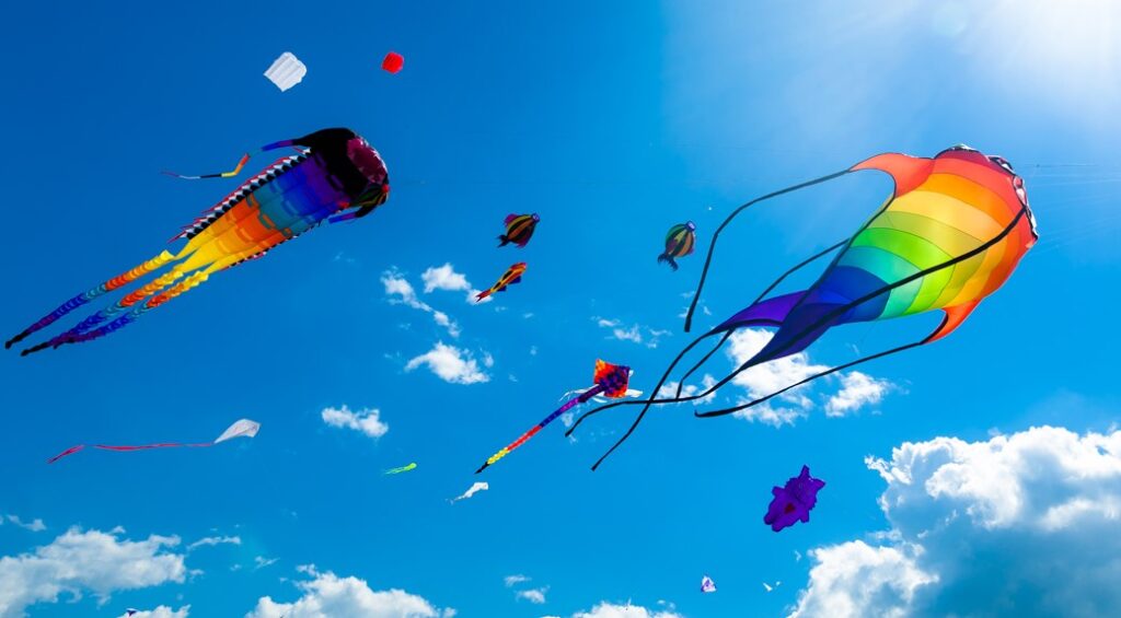 Kite flying – 1 September 2025 | Kingswood | Advice every step of the way